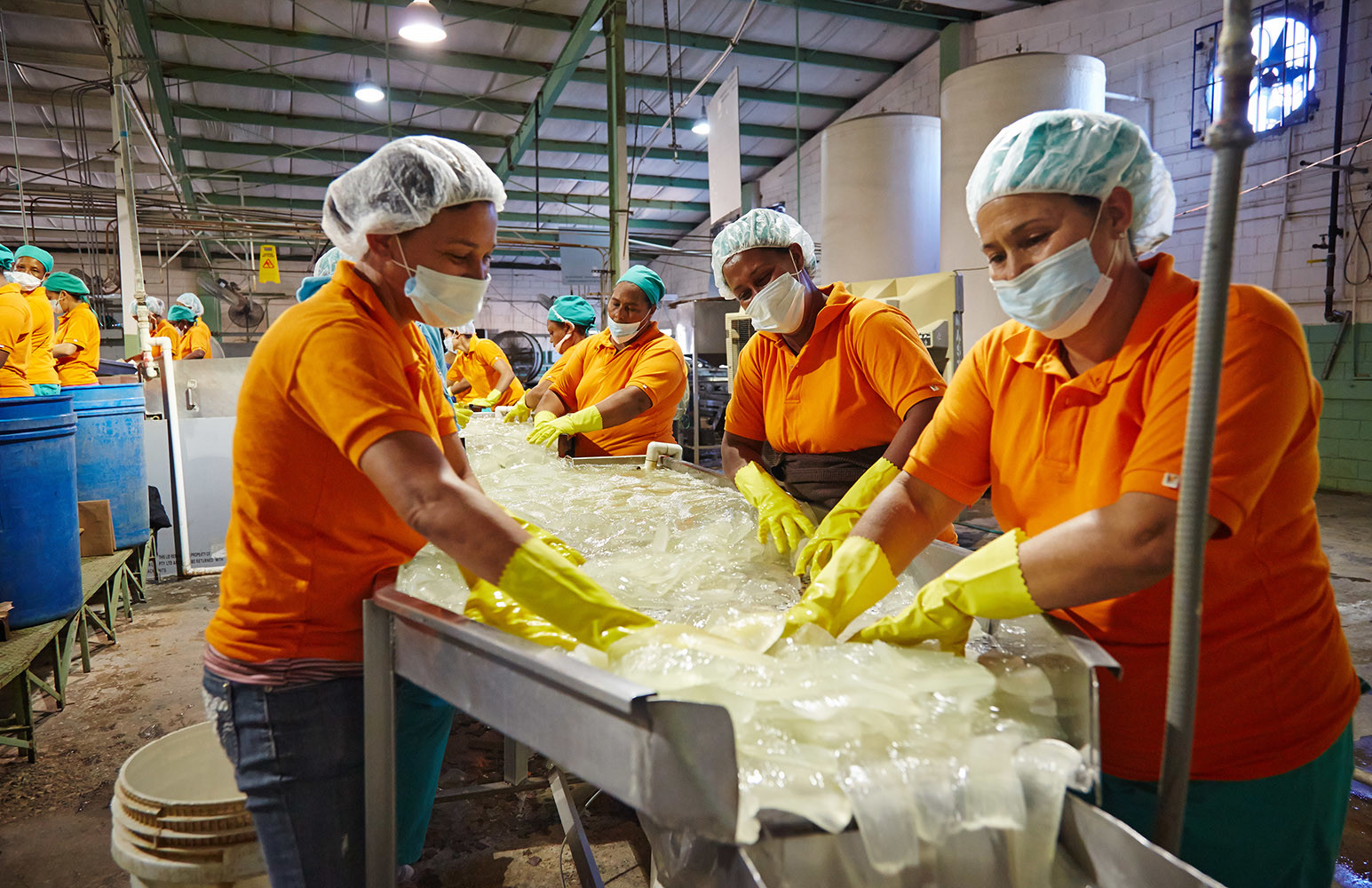 forever-aloe-processing - The Aloe Vera Gel Shop